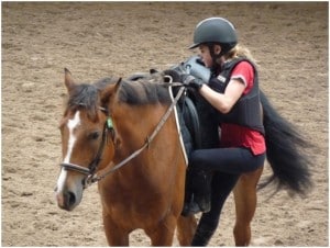 Comment avoir un cheval immobile au montoir ? – Eduquer son cheval