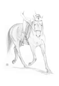 Assouplir et muscler son cheval avec l’incurvation – Eduquer son cheval